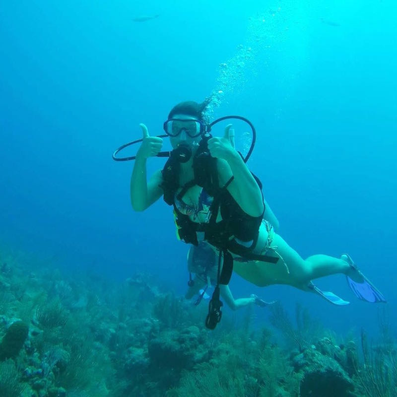 Conoce al equipo: Shaylene Todd